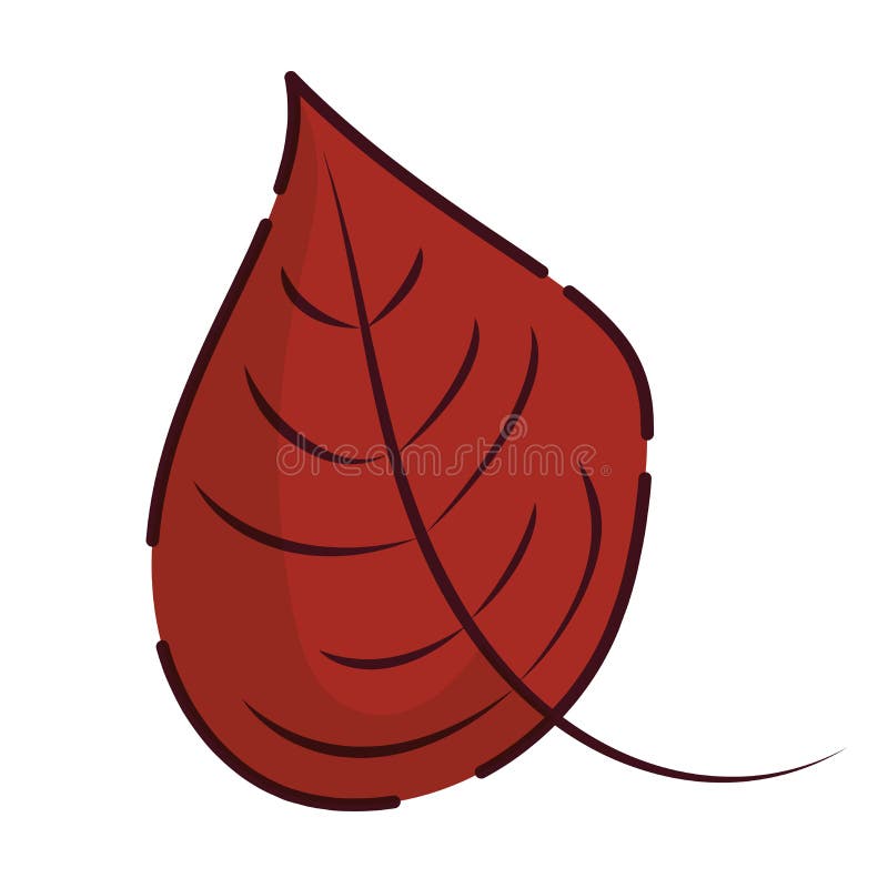 Isolated Colored Autumn Leaf Icon Vector Stock Illustration ...