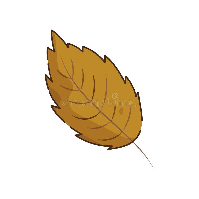 Isolated Colored Autumn Leaf Icon Vector Stock Illustration ...