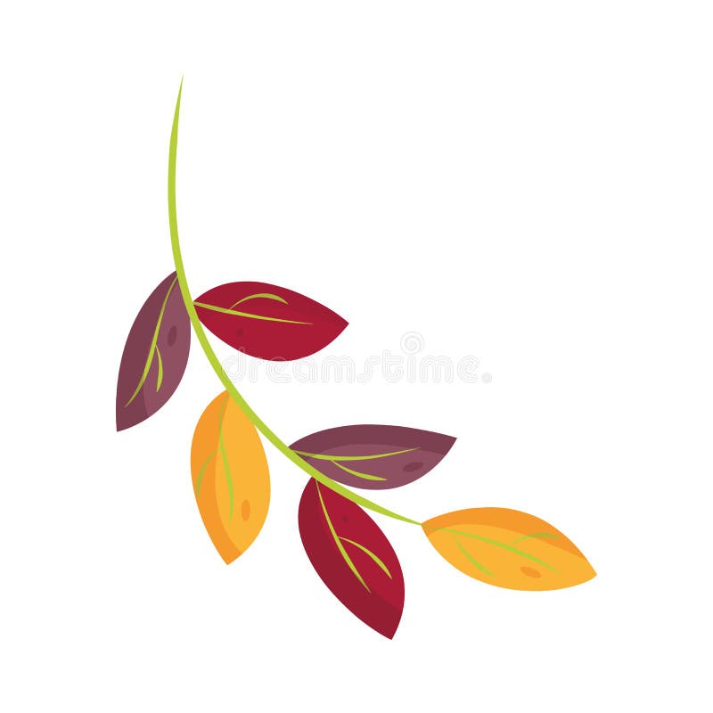 Isolated Colored Autumn Leaf Icon Vector Stock Vector - Illustration of ...