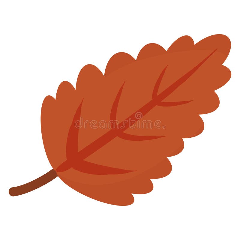 Isolated Colored Autumn Leaf Icon Vector Stock Vector - Illustration of ...