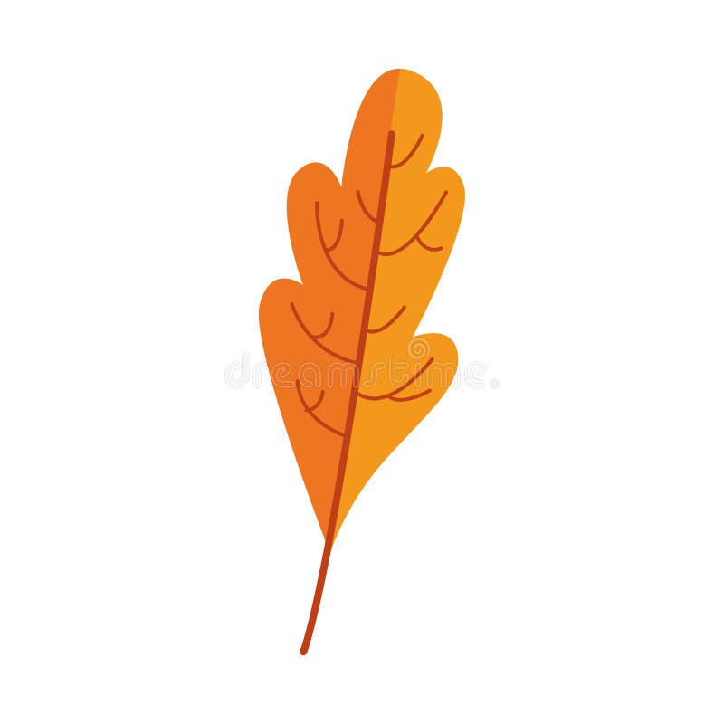 Isolated Colored Autumn Seasonal Leaf Icon Vector Stock Vector ...