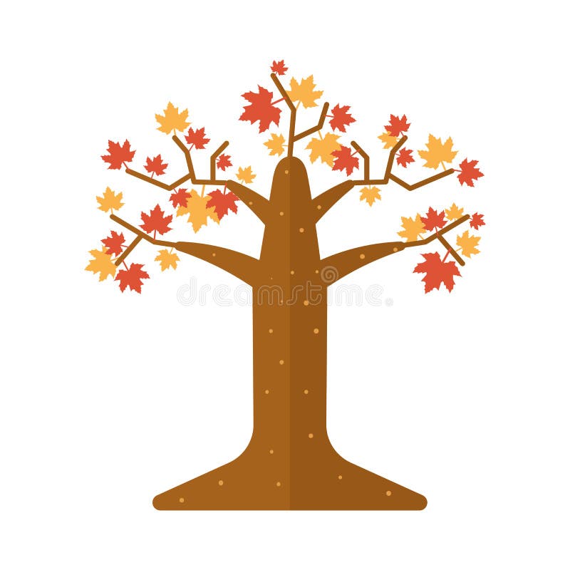 Isolated Colored Autumn Tree Icon Vector Stock Vector - Illustration of ...