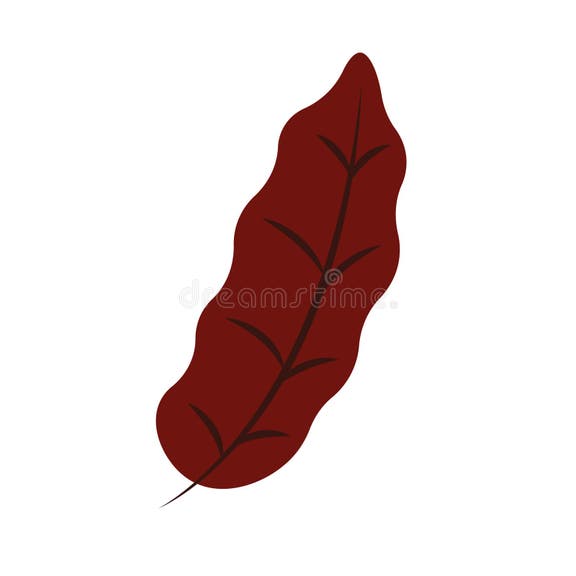 Isolated Colored Autumn Winter Leaf Icon Vector Stock Vector ...