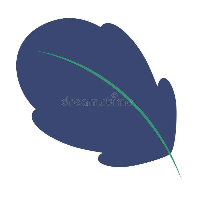 Isolated Colored Autumn Winter Leaf Icon Vector Stock Vector ...