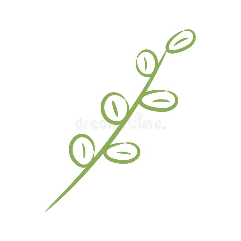 Isolated Colored Children Hand Draw Leaf Sketch Vector Stock Vector ...