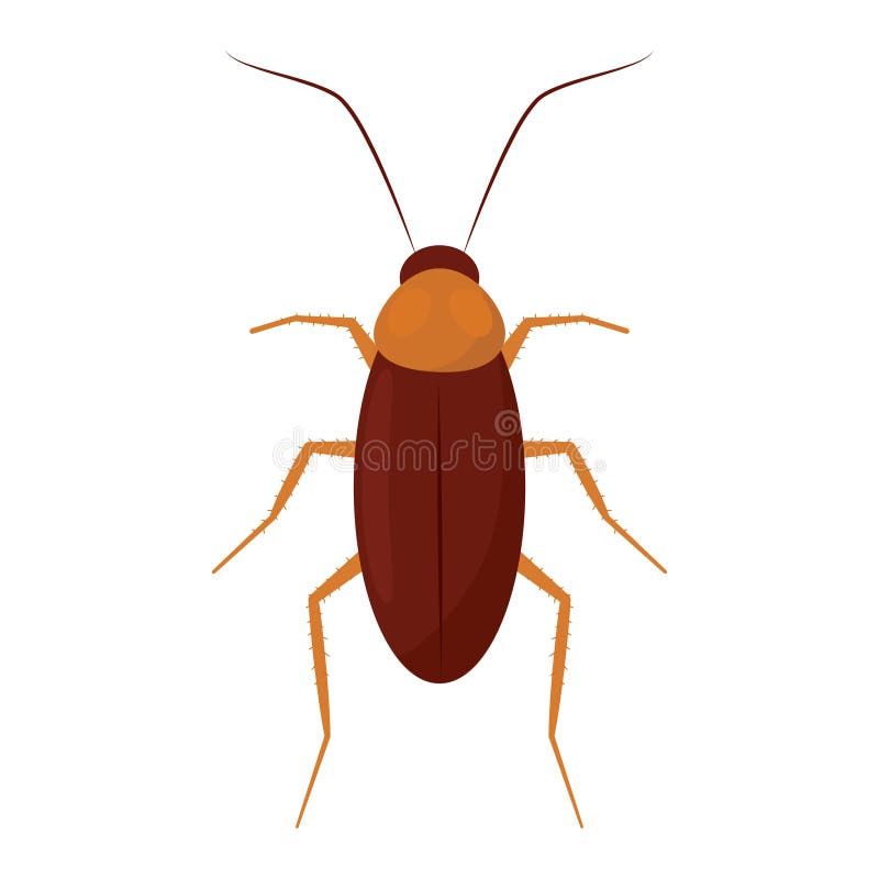 Isolated Colored Cockroach Insect Animal Icon Vector Stock Vector ...