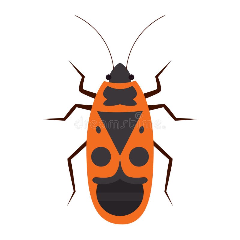 Isolated Colored Cockroach Insect Animal Icon Vector Stock Vector ...