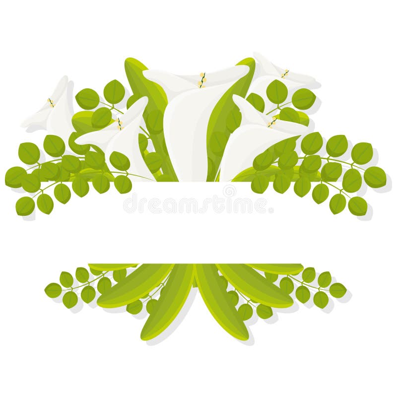 Isolated Colored Empty Floral Banner Vector Stock Vector - Illustration ...