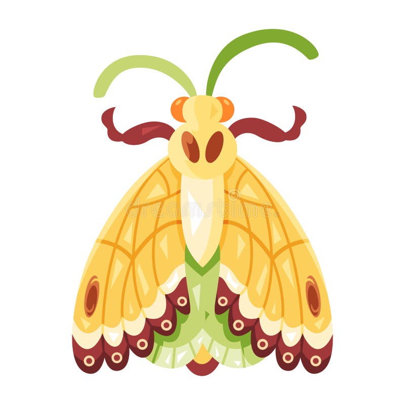 Isolated Colored Moth Icon with Details Vector Stock Vector ...