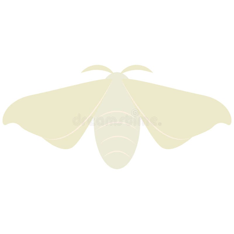 Isolated Colored Moth Insect Animal Icon Vector Stock Vector ...
