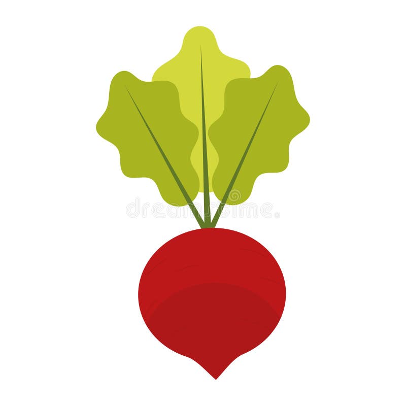 Isolated Colored Radish Icon Flat Design Vector Stock Vector ...