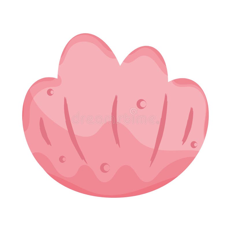 Seashell Sketch Drawing Vector Illustration Stock Vector - Illustration ...