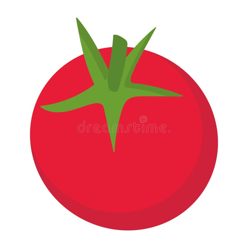 Isolated Colored Tomato Vegetable Icon Vector Stock Vector ...