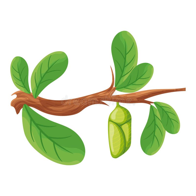 Isolated Colored Tree Branch Vector Stock Vector - Illustration of ...