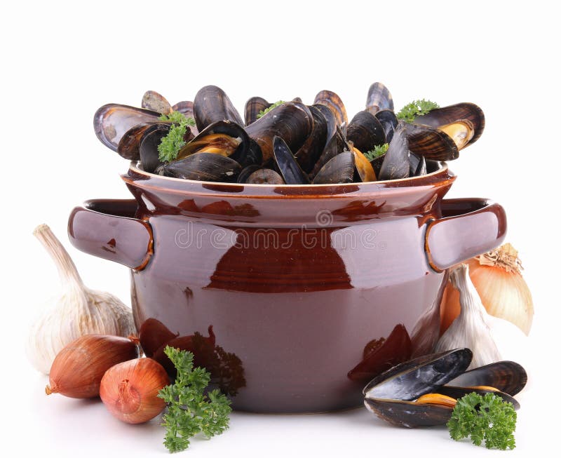Cooking pot with mussels stock photo. Image of sauce - 21060692