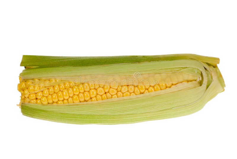 Isolated Corn Picture. Image: 3458608