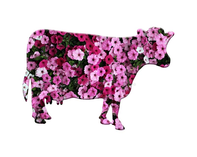 Isolated Cow Composed of Pink Petunia Flowers on White Background Stock ...