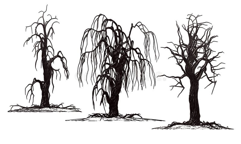 Isolated Creepy Death Trees Stock Illustrations – 78 Isolated Creepy ...