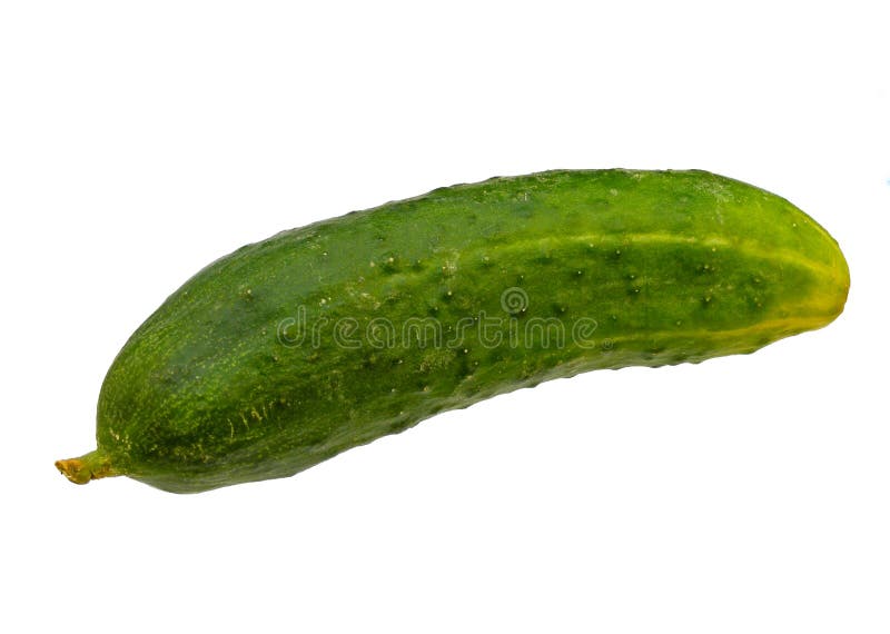 Slim single cucumber stock photo. Image of salads, cylindrical - 11750360