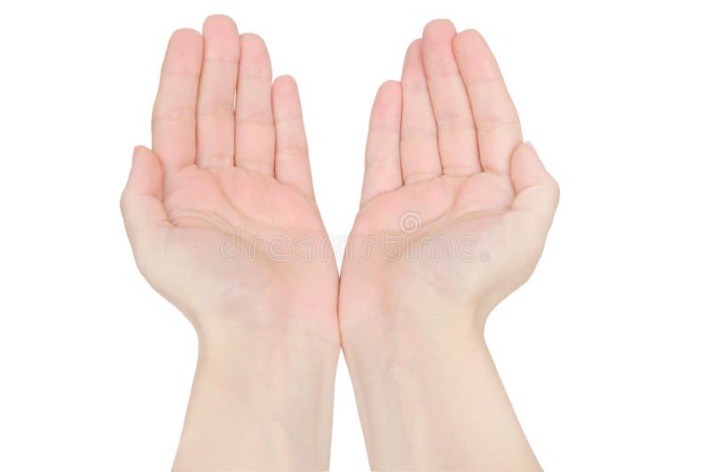 Hands - Reaching Out Isolated Stock Photo - Image of human, white: 13442198