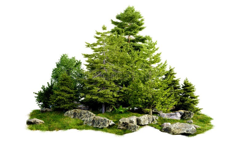 Big Tree with Small Branch and Leaves on Transparent Picture Background ...