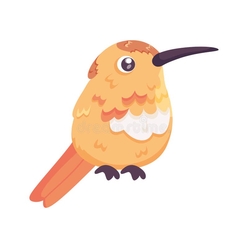 Isolated Cute Hummingbird Bird Icon Vector Stock Vector - Illustration ...