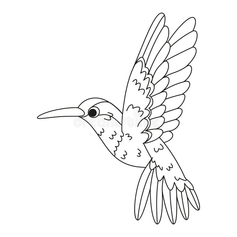 Isolated Cute Hummingbird Bird Icon Vector Stock Vector - Illustration ...