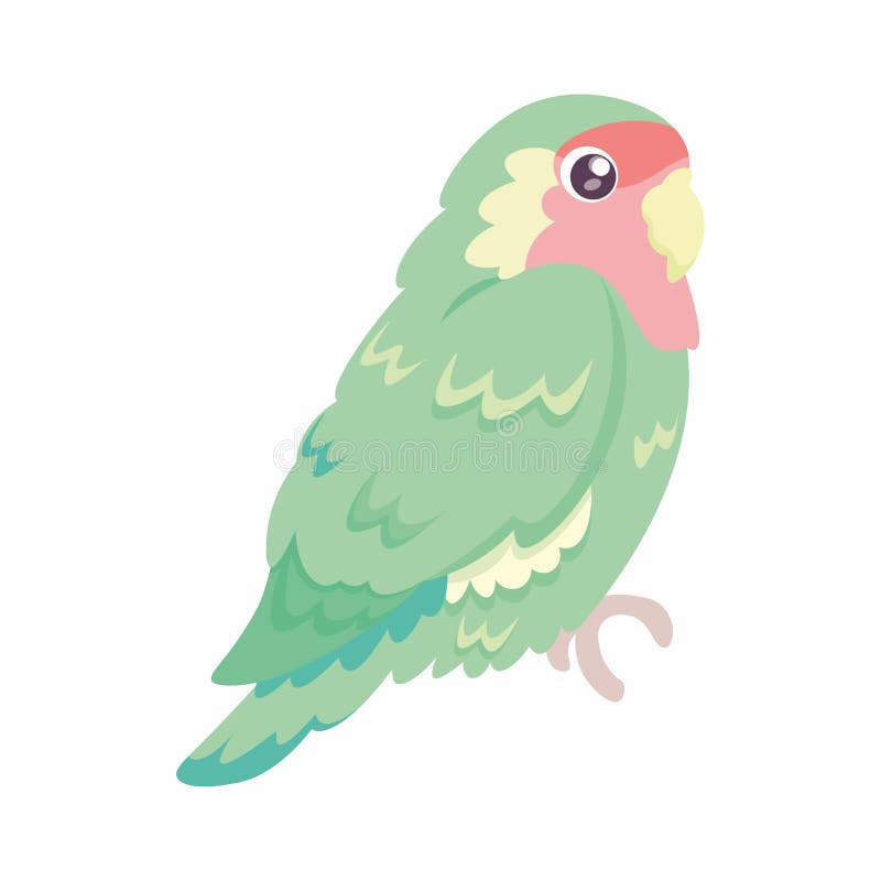 Isolated Cute Parakeet Bird Icon Vector Stock Vector - Illustration of ...
