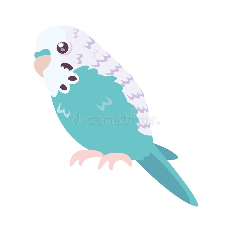 Isolated Cute Parakeet Bird Icon Vector Stock Vector - Illustration of ...