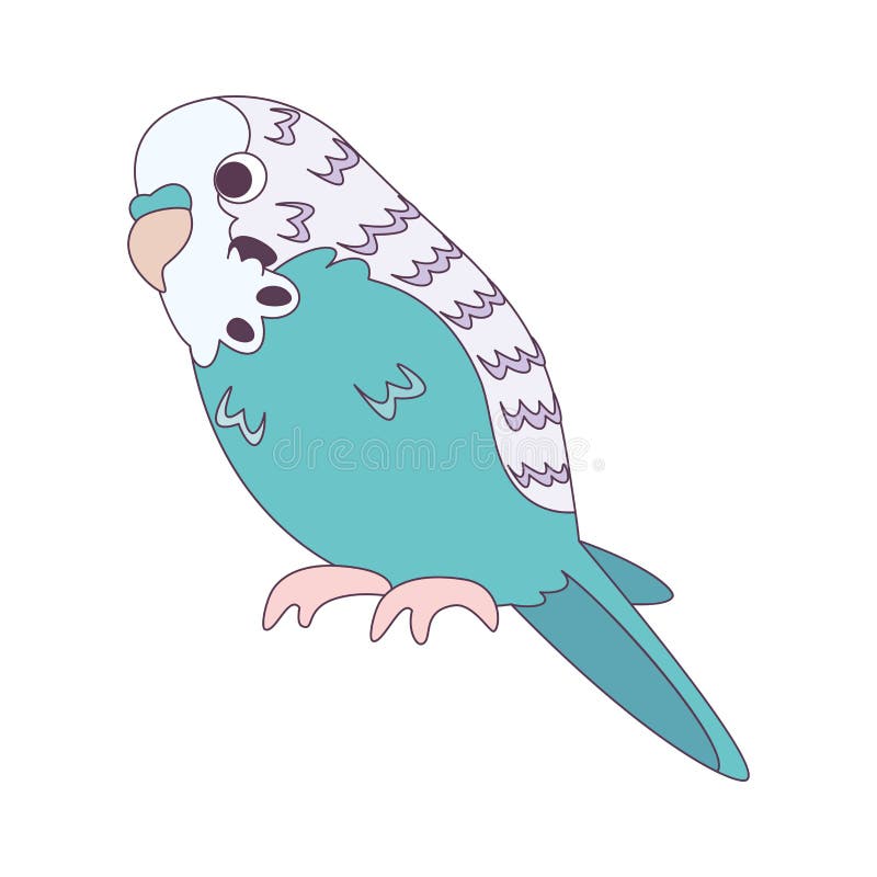 Isolated Cute Parakeet Bird Icon Vector Stock Vector - Illustration of ...