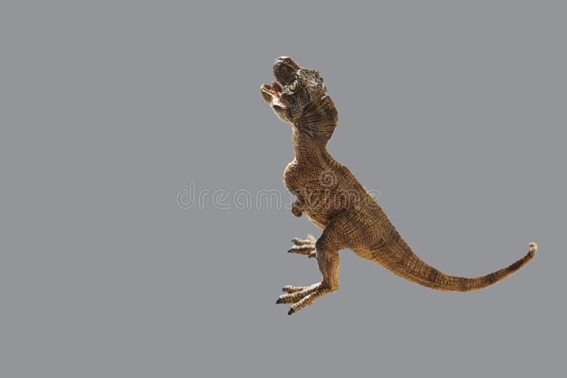 Isolated dinosaur stock image. Image of beauty, horror - 78594951