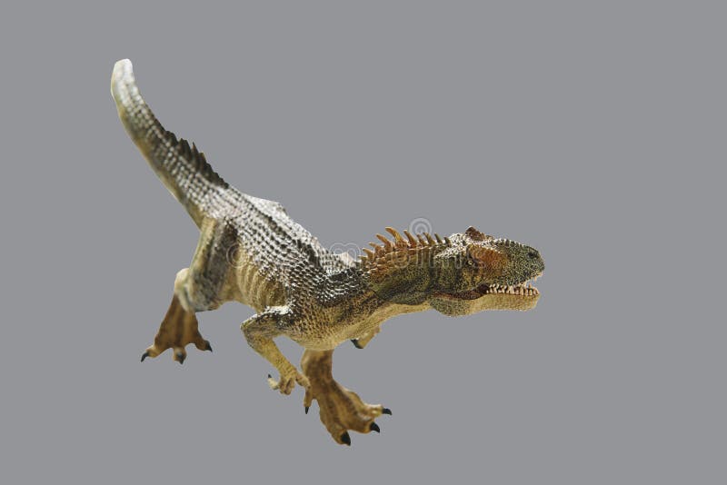 Isolated dinosaur stock photo. Image of isolated, danger - 78594956