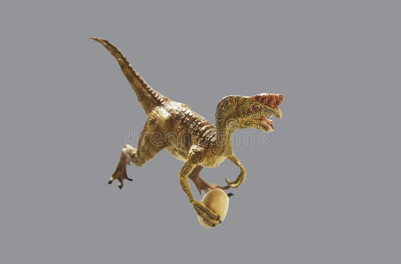 Isolated dinosaur stock photo. Image of dangerous, background - 78594960