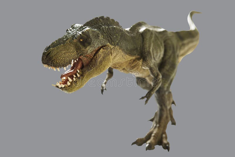 Isolated dinosaur stock photo. Image of history, model - 78594968