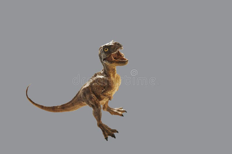 Isolated dinosaur stock photo. Image of isolated, fear - 78594986