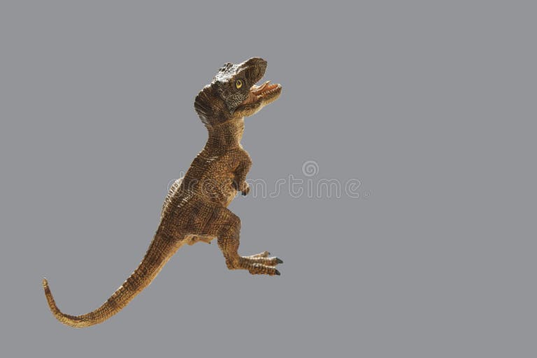 Isolated dinosaur stock image. Image of fear, model, large - 78594989