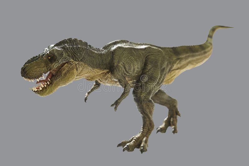 Isolated dinosaur stock photo. Image of beauty, gray - 78594992