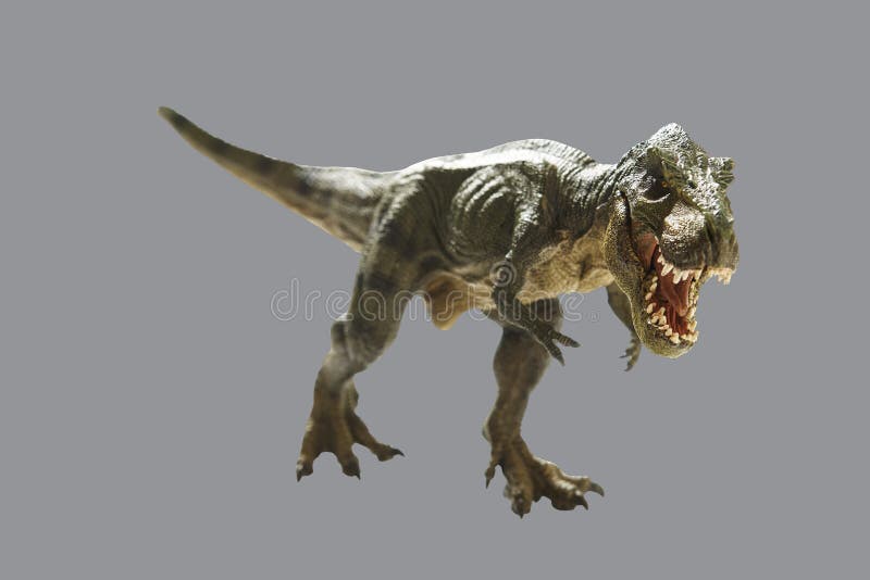 Isolated dinosaur stock image. Image of extinct, background - 78594995