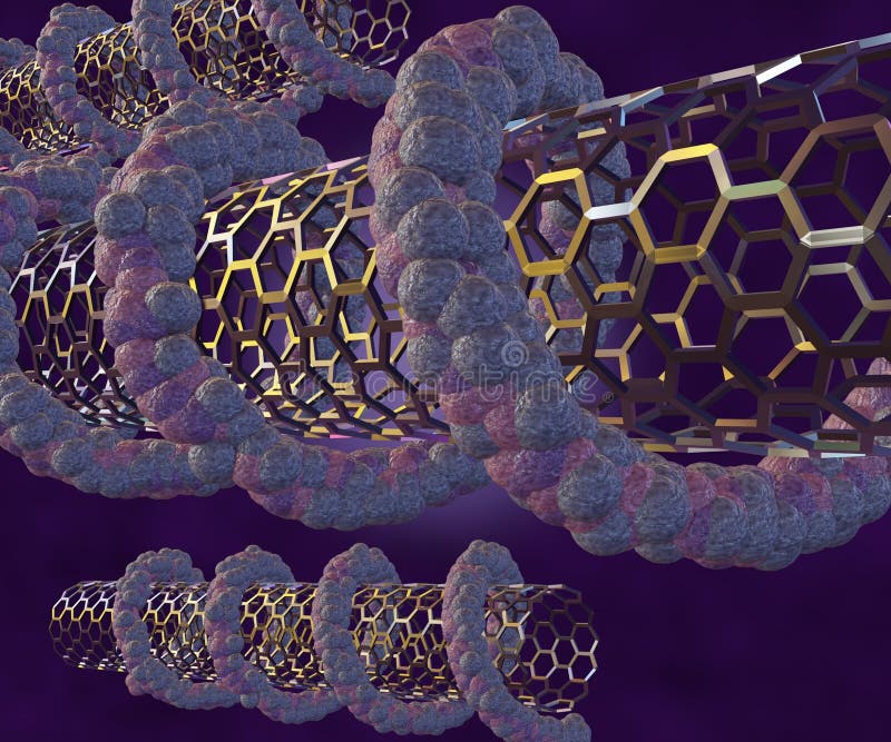 Isolated DNA Strands Wrapped Around Carbon Nanotubes Stock Illustration ...