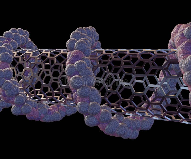 Isolated DNA Strands Wrapped Around Carbon Nanotubes Stock Illustration ...