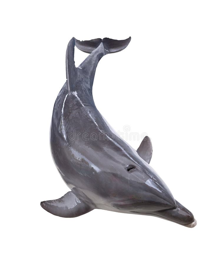 An Isolated Dolphin Jumping in the Deep Blue Sea Stock Photo - Image of ...