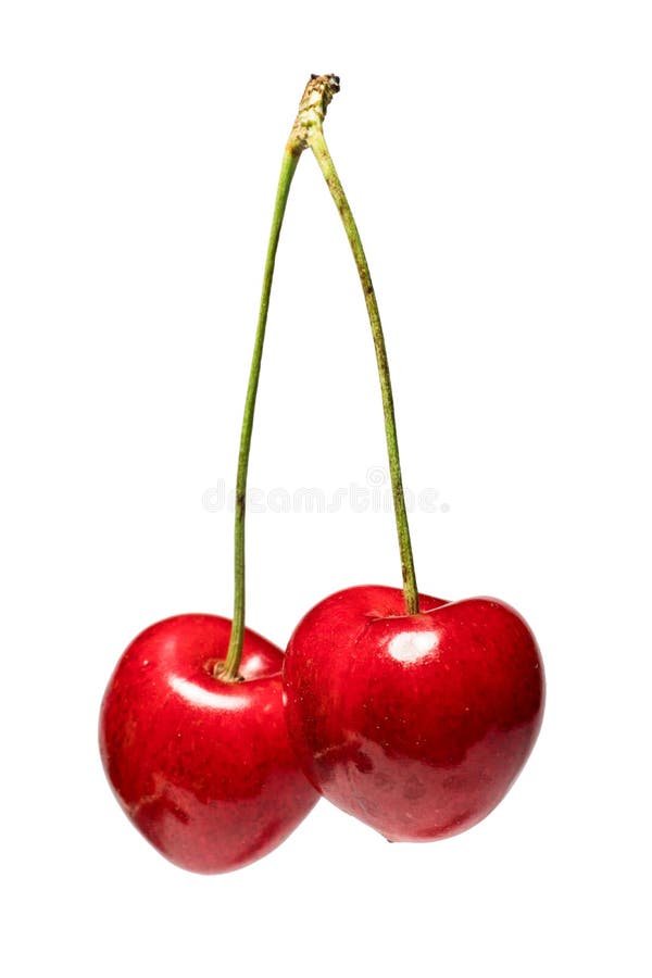 Isolated double cherry stock photo. Image of fresh, juicy - 117463766