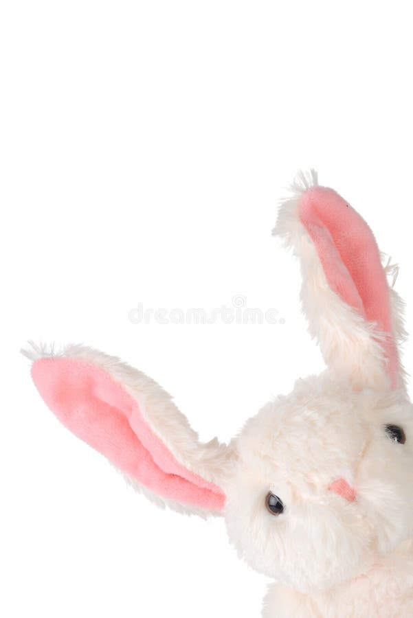 Isolated Easter Bunny with Pink Ears Stock Photo - Image of card, gift ...