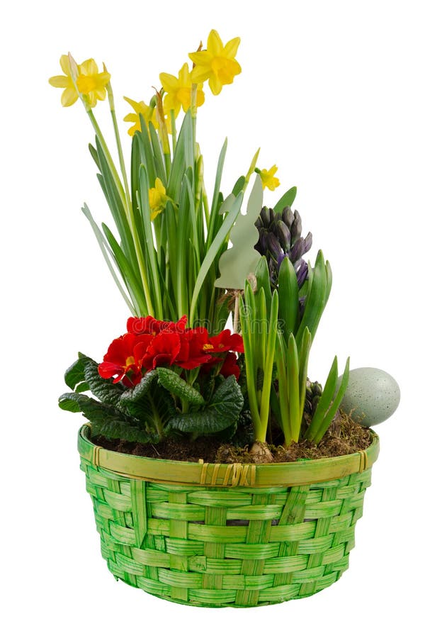 Isolated Easter Decoration with Spring Flowers Stock Photo - Image of ...