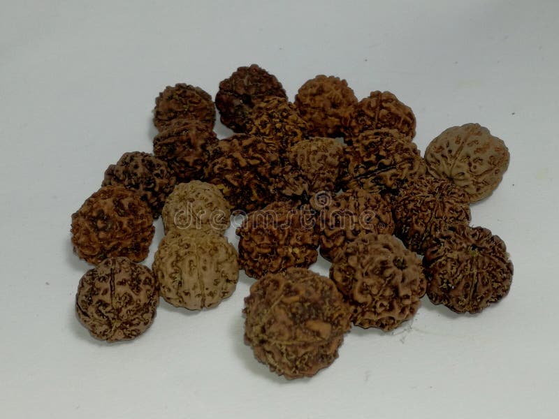 Elaeocarpus Sphaericus Stock Photos - Free & Royalty-Free Stock Photos ...