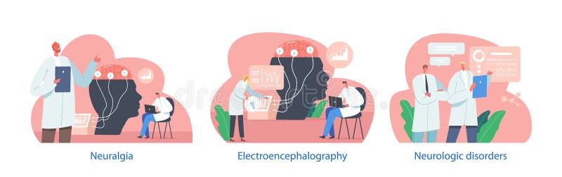 Study of the Brain. Front View. Drawing on a Sheet of Paper Stock ...