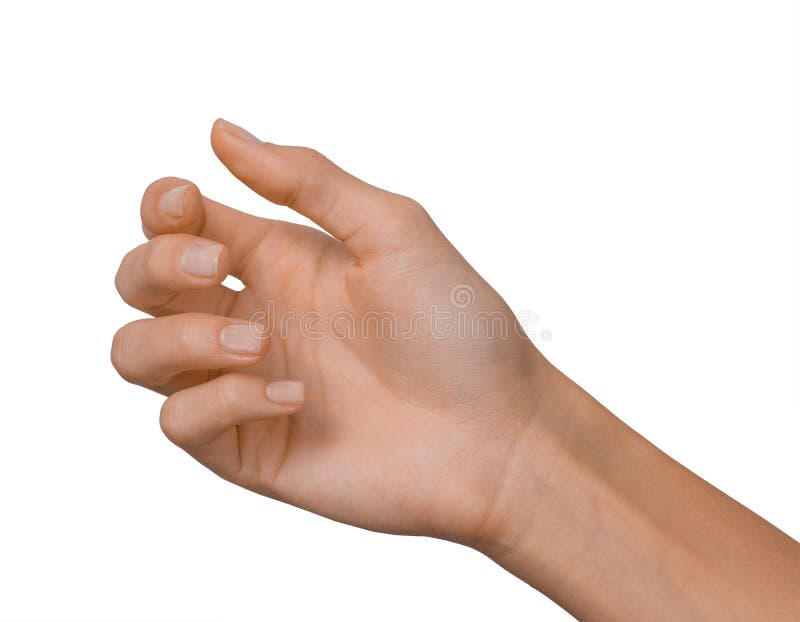 Isolated Empty Open Woman Female Hand in a Position on a White ...