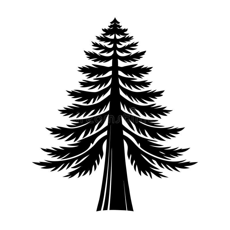 Isolated Evergreen Tree Silhouette Vector Illustration for Design ...