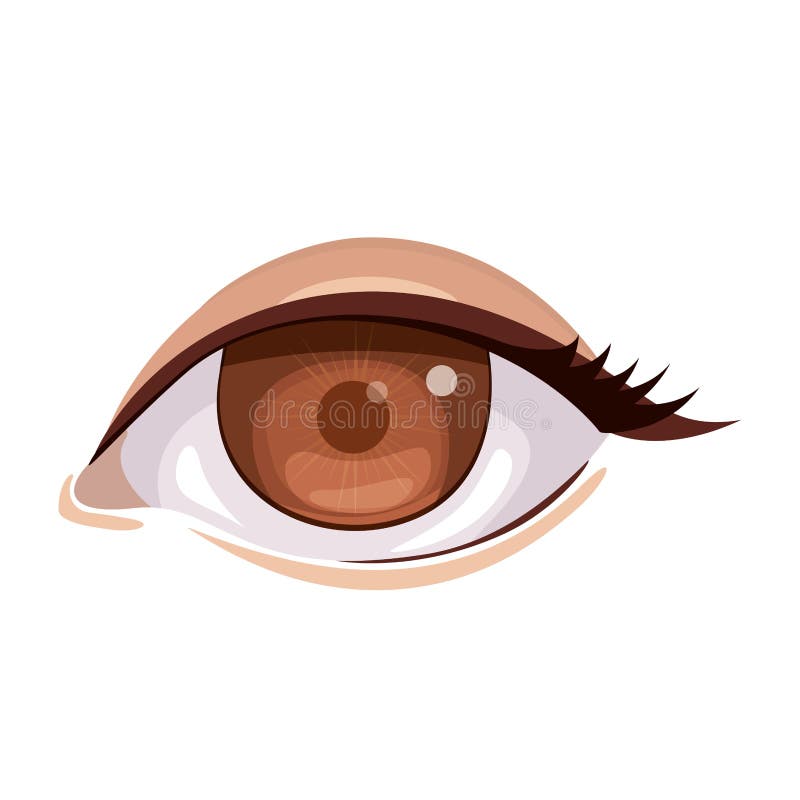 Isolated Eye and Look Concept Stock Vector - Illustration of medicine ...
