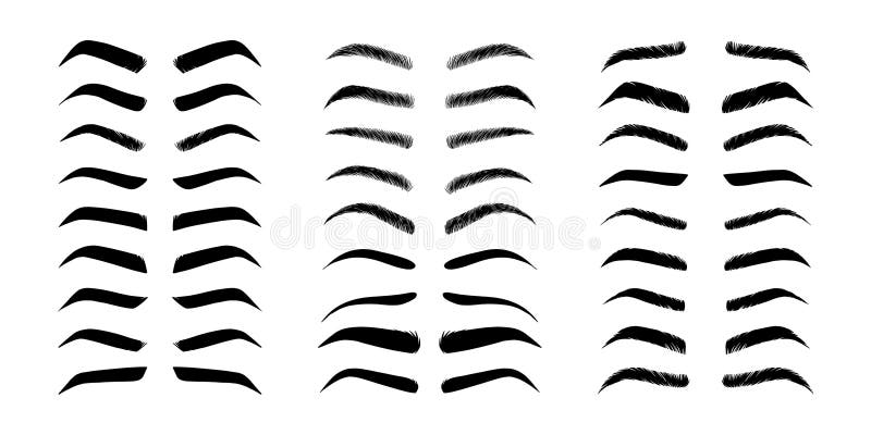 Isolated Eyebrows Set Cartoon. Eyebrow Makeup Template. Classic Brow ...